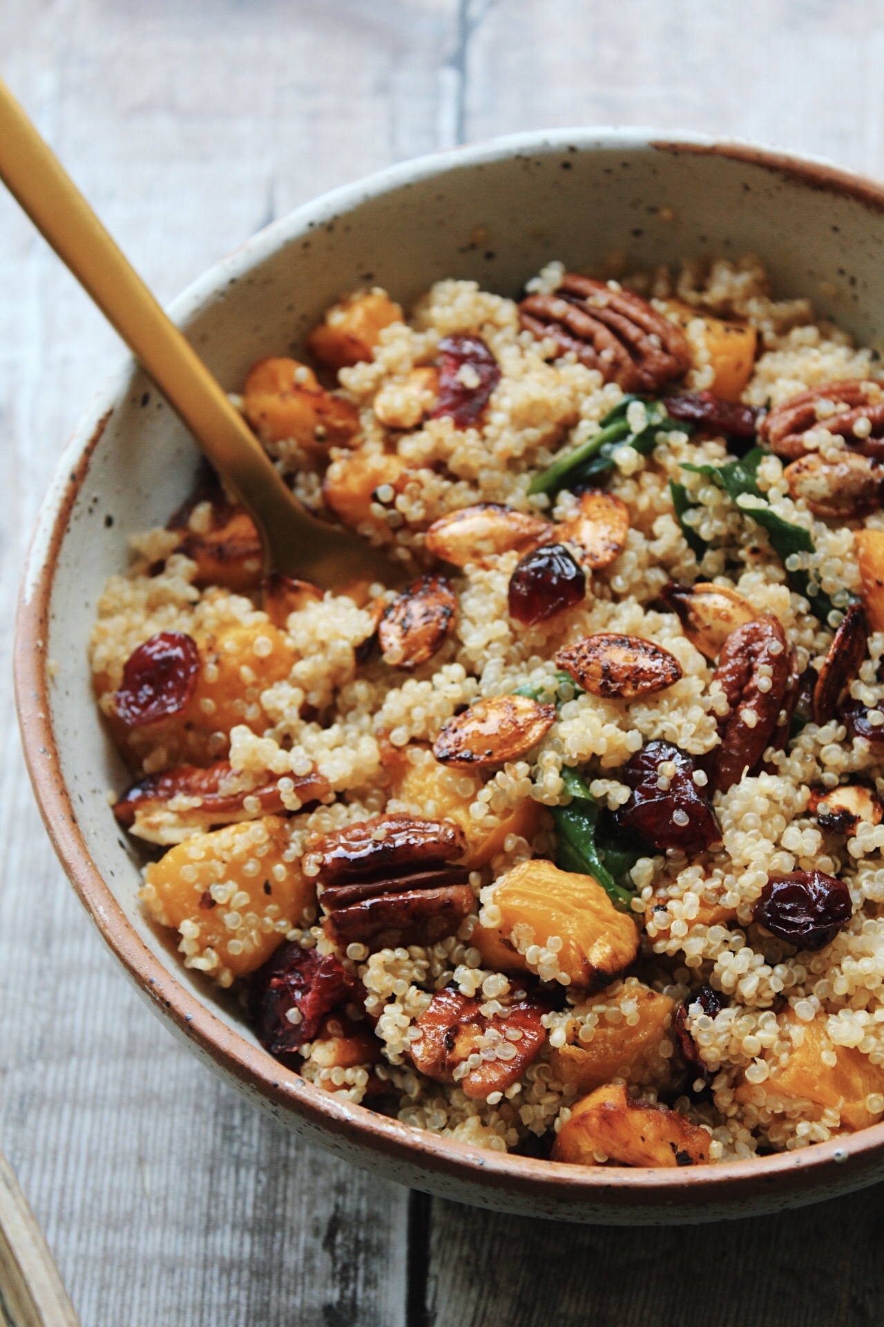 Roasted Pumpkin Quinoa Salad (With Pecan & Cranberry) | Gina Burgess